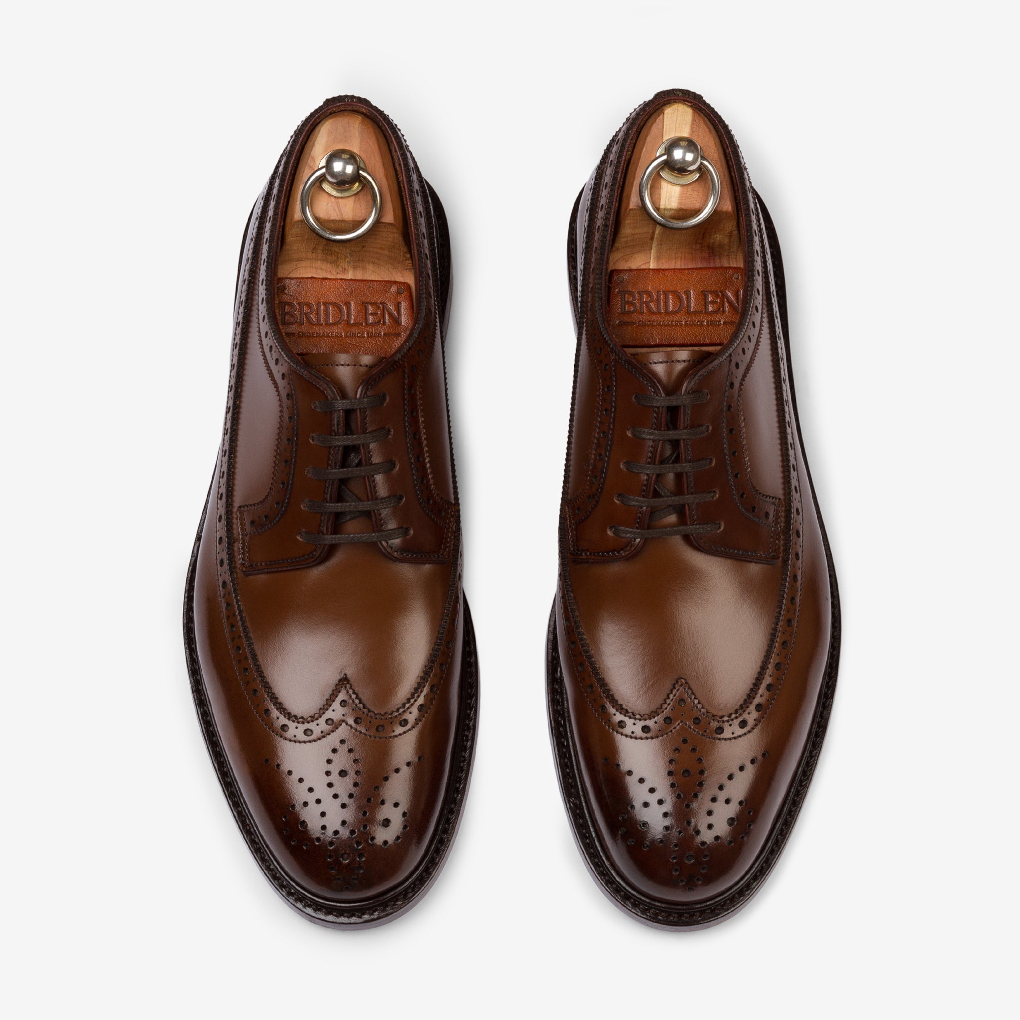 Longwing Derby - Dark Brown - Rui Last– Bridlen