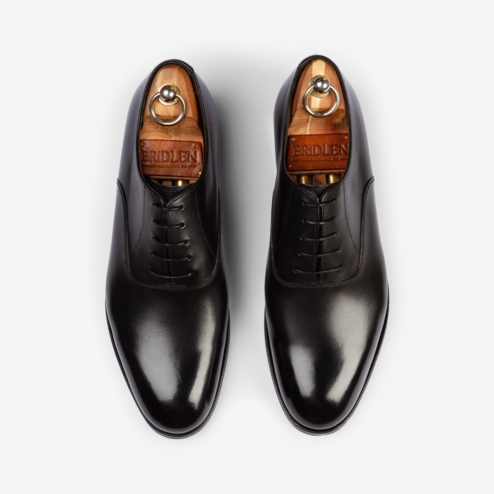 Plain Oxford - Black - Blake Line– Bridlen